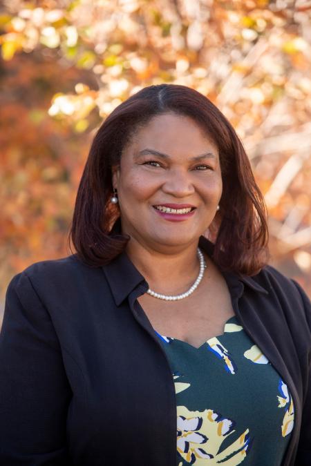 Amplify Colorado - COLab